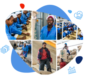 Services - Bill Express